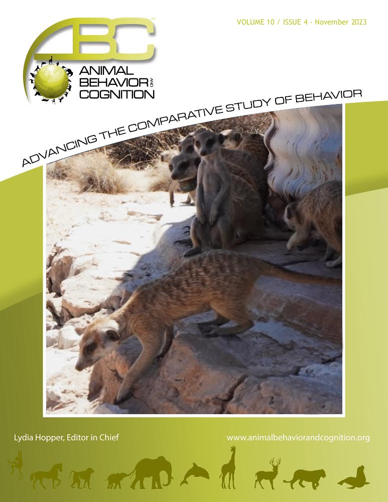 The Goldilocks Principle: Balancing Familiarity and Novelty in the ...